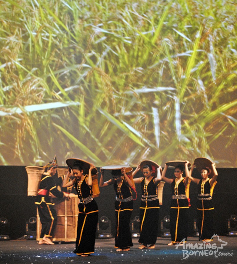 Sabah Fest 2014 | Travelogue - Amazing Borneo Tours